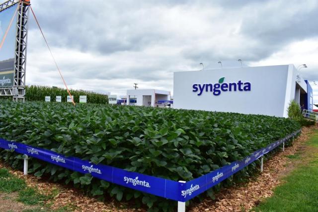 Relatório revela: 70% dos agrotóxicos usados no Brasil são considerados ...