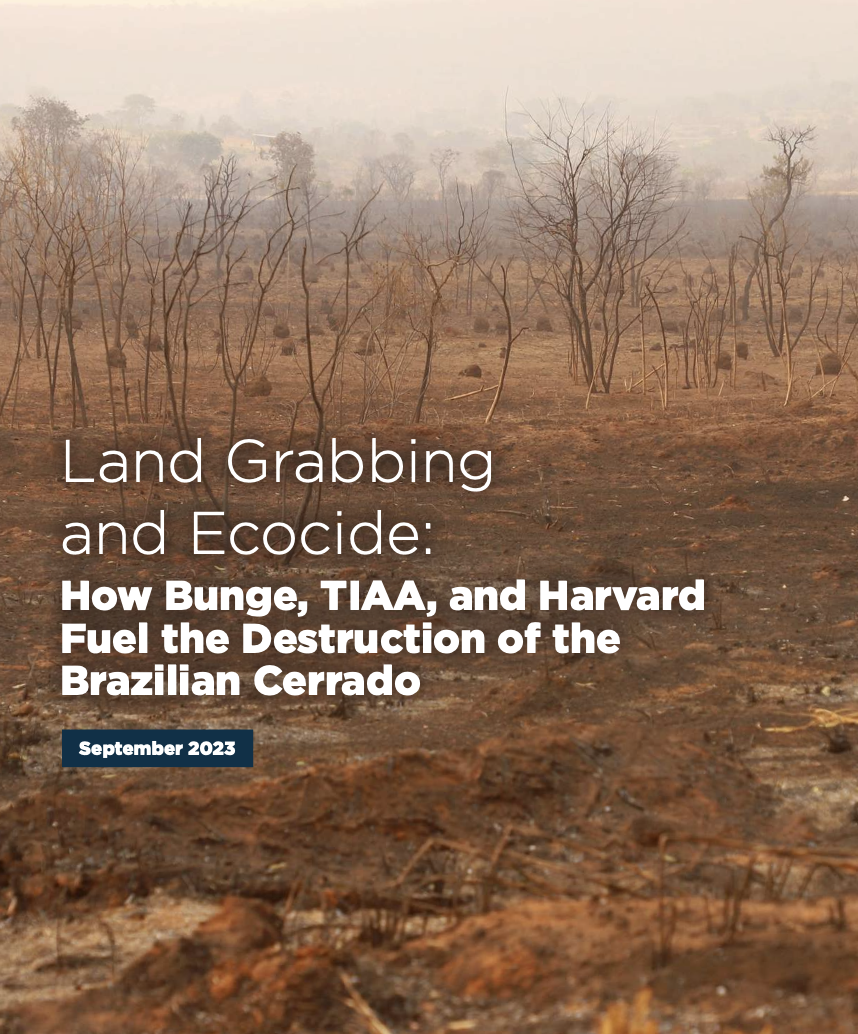 Relatório em inglês mostra como Bunge, TIAA e Harvard causam destruição ...